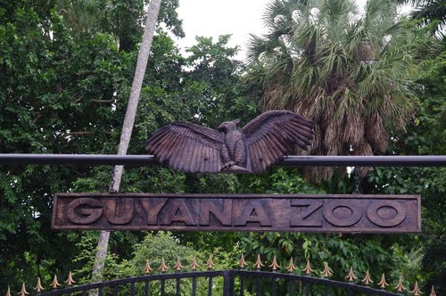 GUYANA